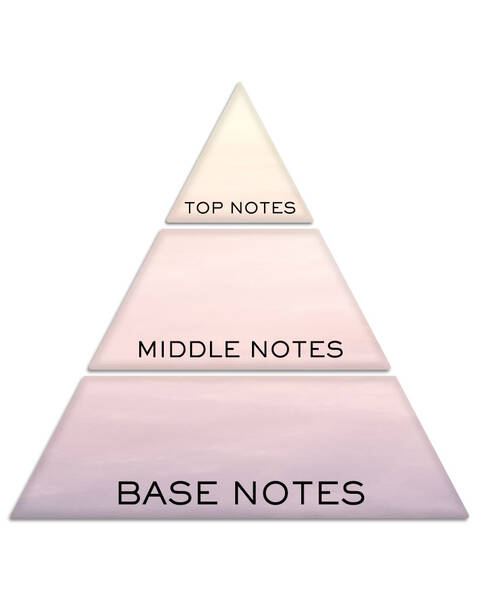 Perfumes & Fragrances: Insights & Recommendations | Lancôme Australia